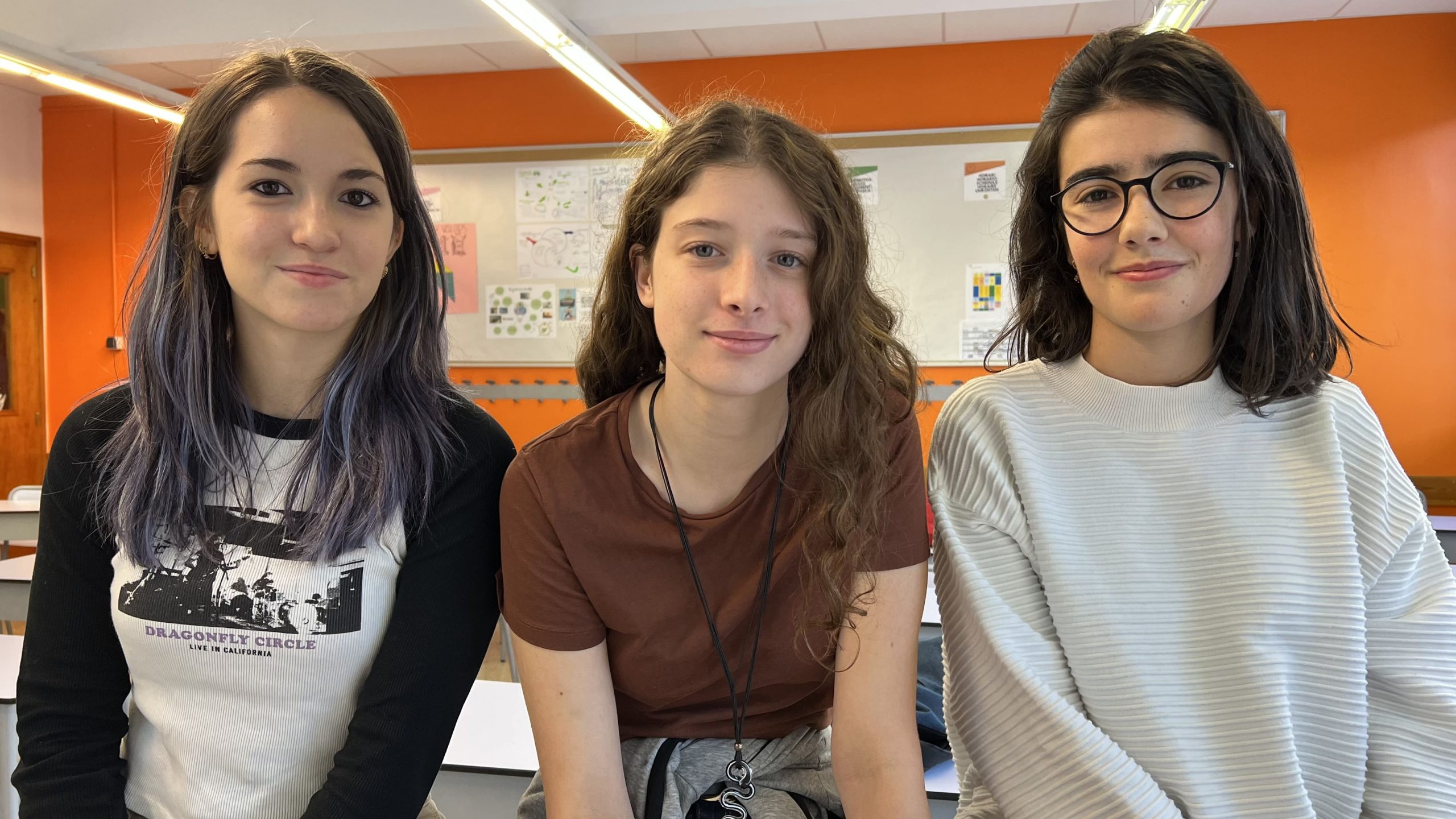 Perfil de l’alumne - Col·legi Sant Ermengol